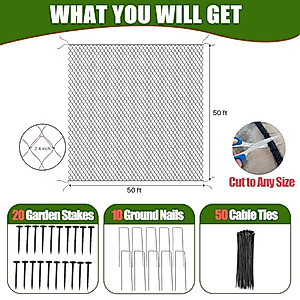 Bird Netting for Chicken Coop - 50x50ft Chicken Netting for Chicken Coop Roof, Poultry Net Coop Netting Cover, Hawk Netting for Chicken Run Fence, 2.4" Mesh Anti Bird Net for Garden Aviary Tree Deers