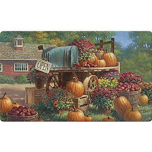 Toland Home Garden 800281 Farm Pumpkin Fall Door Mat 18x30 Inch Harvest Outdoor Doormat for Entryway Indoor Entrance