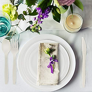 BIRCHIO 250 Piece Biodegradable Paper Plates Set (EXTRA LONG UTENSILS), Disposable Dinnerware Set, Eco Friendly Compostable Plates & Utensil include Plates, Forks, Knives and Spoons for Party