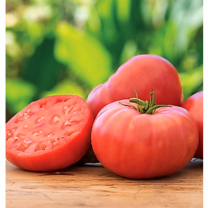 Burpee 'Brandywine', Pink Beefseak Tomato, 90 Non-GMO Seeds
