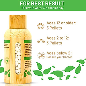 BestMade Natural Products Toothache & Nerve Support in Jaw | Helps Ease Tooth Sensitivity and Oral Discomfort Following Dental Work | Bio23 | Pellets