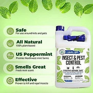 Mighty Mint Gallon (128 oz) Insect and Pest Control Peppermint Oil - Natural Spray for Spiders, Ants, and More