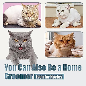 Gooad Cat Grooming Kit, Cat Clippers for Matted Hair, Cordless Cat Shaver for Long Hair, Low Noise Paw Trimmer, Cat Hair Trimmer for Grooming,Quiet Pet Hair Clippers Tools for Cats Dogs (Blue)