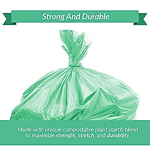 Reli. Compostable 6-8 Gallon Trash Bags | 100 Count | ASTM D6400 | Green | Eco-Friendly | For Compost