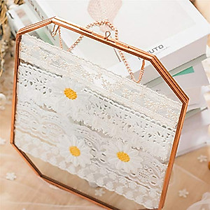 NCYP Wall Hanging 8X10 inches Long Octagon Herbarium Rose Gold Copper Glass Frame for Pressed Flowers, Dried Flowers, Poster, Double Glass, Floating Frame Style, Glass Frame Only