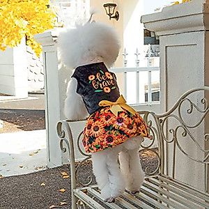 CuteBone Sunflower Dog Dress Velvet for Small Dogs Girl Puppy Dresses Yellow Dog Clothes CVA06XS-D