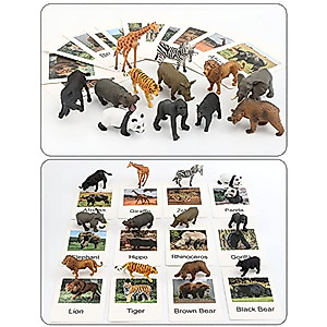 MIKNEKE Montessori Animal Figures with Flash Cards, Realistic Animal Figurines Toys, Montessori Materials Homeschool Preschool Science Educational Matching Game for Toddler Kids (Zoo)
