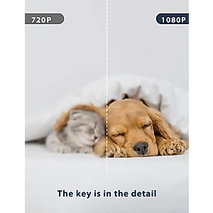 GNCC Pet Camera, Indoor Camera for Baby/Pet/Security with Night Vision, Dog Camera, 2-Way Audio, 2.4G WiFi, 360° PTZ Remote Control(Manual Up and Down), Smart Detection, SD&Cloud Storage, P1