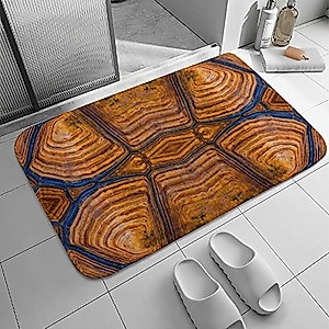 Turtle Carapace Bathroom Rug Mat, Extra Soft and Absorbent Microfiber Bath Rugs, Non-Slip Plush Bath Carpet, Bath Mats for Bathroom Floor, Tub and Shower 16x24 Inches