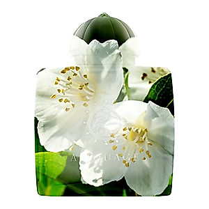 AMOUAGE Honour Women's Eau de Parfum Spray, 3.4 Fl Oz