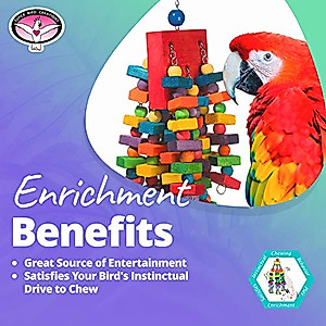 Super Bird Creations SB439 Beakasaurus Bird Toy, Large/XL Bird Size, 20" x 7" x 6"