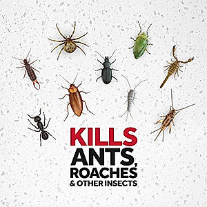 Raid® Ant & Roach Killer Spray, Fragrance-Free, 17.5 Oz, Pack Of 2