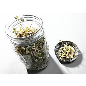 Mesh Strainer Sprouting Lids 316 Stainless Steel for Wide Mouth Mason Jars Canning Seed Sprouting Alfalfa Salad Sprouts Lid 4 Pack