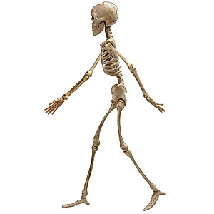 e Crafty 16" Halloween Skeleton,Full Body Skeleton with Posable Movable Joints for Haunted House Props Decorations