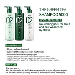 AMOS PROFESSIONAL The Green Tea Shampoo [Moist - For Normal/Dry Scalp] 17.6oz (500g) | Anti-Thinning & Anti- Hair Loss Shampoo for Hair Growth and Moisture | Korean Hair Salon Brand