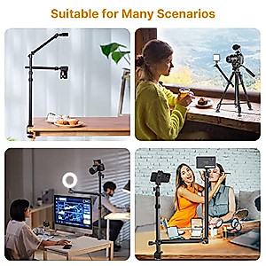 PICTRON VIJIM Flexible Arm Auxiliary Holding Arm, Detachable 2-Section Magic Arm for Any Camera Desk Mount, Cameras, Lights and More, Multi Mount Accessory (LS04)