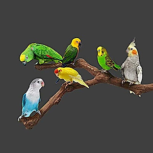 Allazone 5 PCS Bird Perch Natural Grape Stick Bird Standing Stick Swing Chewing Bird Toys Natural Grapevine Bird Cage Perch for Parrot Cages Toy for Cockatiels, Parakeets, Finches