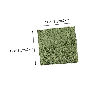 GANAZONO 2Pcs Climbing Pet Fake Lawn Terrarium Substrate Liner Reptile Bed Reptile Climbing Carpet Miniature Grass mat Amphipod Reptile Moss Carpets Horned Frog Cotton Absorbent pad