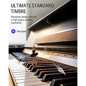 Donner DDP-90 Digital Piano, 88 Key Weighted Piano Keyboard for Beginner/Professional W/Three Pedals, Supports U-disk Music Playing, PC/Tablet/Cell Phone Connecting, Audio In/Output