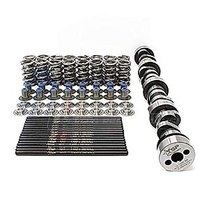 Texas Speed TSP Cleetus McFarland Bald Eagle LS1 LS2 LS6 Camshaft and Spring Set for N/A Naturally Aspirated Applications (Camshaft and Spring Set)