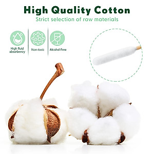 Nuogo 300 Pieces Cotton Buds for Dogs and Cats Pet Cotton Ear Buds Swabs Cotton Dog Ear Cleaner Dog Ear Cleaning Solution Long Cotton Swab Dog Ear Drops with Wood Handle for Dog Ear Care, 4.7 Inches