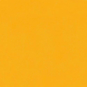 Golden Yellow Cardstock - 8.5 x 11 inch - 65Lb Cover - 50 Sheets - Clear Path Paper