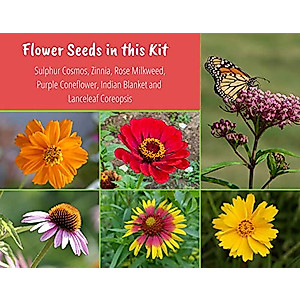 Butterfly Garden Seed Starter Kit - Grow Wildflowers & Milkweed