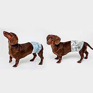 Disposable Male Dog Wraps with FlashDry Gel Technology, S 40 count