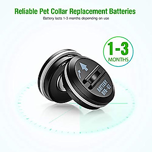 EBL 10 Pack RFA-67 6 Volt Pet Collar Replacement Batteries, Ultra Fit PIF-300 RF300 PIF-275-19 PRF-3004W PUL-250