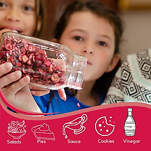 Ready Harvest Cranberries Dried Fruit Freeze-dried Fruit, Unsweetened, Freeze-dried Food Pantry Staples Survival Food, Bug Out Bag Backpack, Camping Essentials, #10 Can | 25-year shelf life 170g