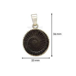 Vedic Vaani Natural Gandaki River Lord Vishnu Narayan Sudarshana Chakra Shaligram Shilla Stone Silver Pendant Locket (1 Piece)
