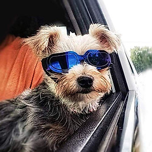 Enjoying Small Dog Sunglasses Dog Goggles Small Breed for UV Protection Snow-Proof Windproof Goggles with Flexible Straps for Puppy Cat - Blue