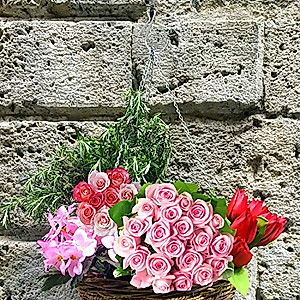 TOODOO Hanging Hooks S Shaped Metal Hooks Clip Hangers with Storage Box for Bathroom Bedroom Office (20)