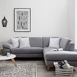 Premium 23x23 Inch Decorative Throw Pillow Inserts - (Pack of 2 White) | Goose Feathers & Duck Down Fill | 100% Cotton Cover | Plush and Breathable | 233 Threads Count