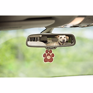 One Fur All Pet House Car Air Freshener - Evergreen Forest Pack of 4 - Non-toxic Car Air Freshener - Pet-Friendly Air Freshener For Small Spaces & Car - Hanging Odor Eliminating Air Freshener