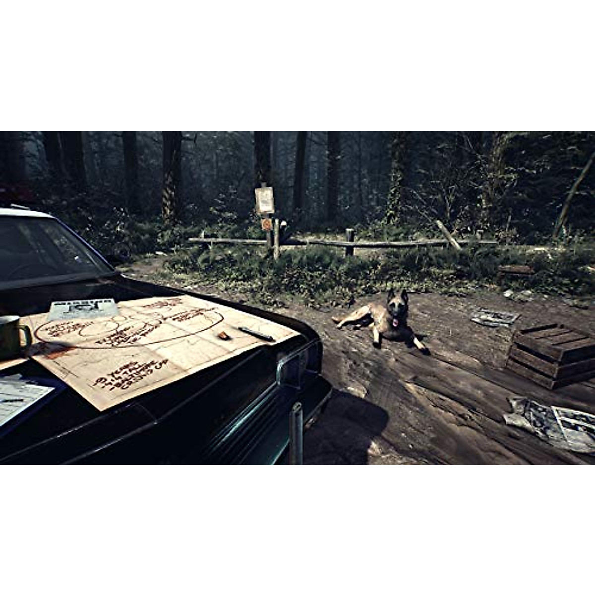 【2020年夏発売予定】ブレア・ウィッチ 日本語版 初回限定版