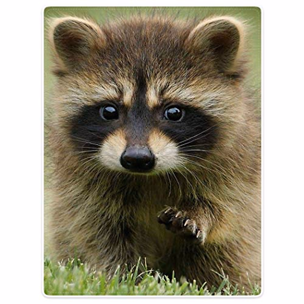 HommomH Raccoon Blanket Animal Pattern Digital Print Fleece Throw Cute Little Raccoon 60"x80"