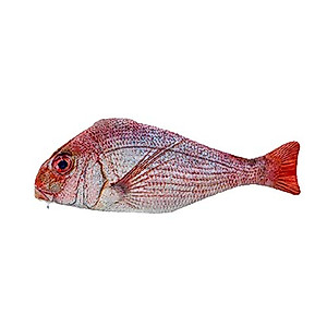 Creative Pencil Case Fish Shaped Pen Bag Durable Compact Zipper Pouch Student Stationery TPPY88654