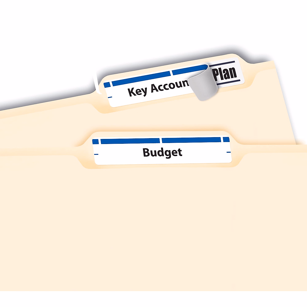 Avery TrueBlock File Folder Labels, 2/3" x 3-7/16", 1,500 Printable Labels, White/Blue, Permanent (5766)