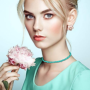 Hicarer Seed Bead Choker Necklace Tiny Beaded Choker Boho Colorful Choker Necklace Chain Jewelry for Women, Adjustable 12-16 Inches (Color Set 1, 8 Pieces)