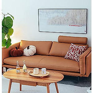 Sdetrcq Halloween Pumpkin Pillow Decor, Pumpkin Plush Pillow Fleece Stuffed Pumpkins Decoration Halloween Pumpkins Throw Pillow for Couch, Soft Halloween Pumpkin Decor Gifts (White, 8'')