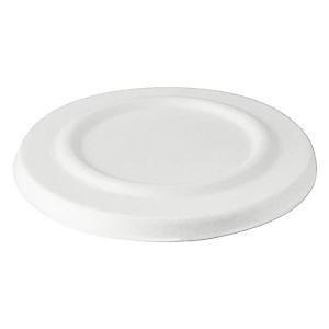 Restaurantware Pulp Safe No PFAS Added 10 x 5.1 Inch Rectangle Plates 100 Disposable Plates - Home Compostable Microwavable And Freezable Bagasse Plates For Hot And Cold Foods