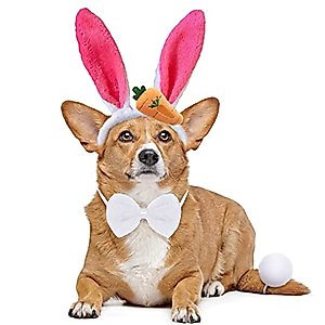 Dog Bunny Ears and Dog Easter Bow Tie, Pet Easter Outfit