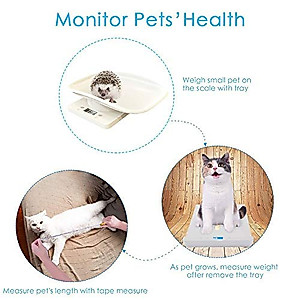 WIOR Food Scale Grams and Ounces, 22lb/10kg Digital Scale, Kitchen Scale with 1g/0.1oZ Precise Graduation, LCD Display Digital Food Scale for Kitchen, Baking, Cooking, Ingredients, Jewellery, Pet