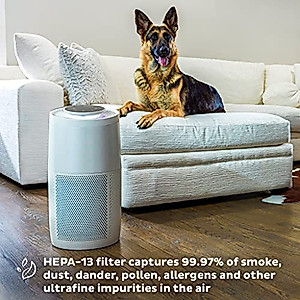 Instant HEPA Quiet Air Purifier, From the Makers of Instant Pot with Plasma Ion Technology for Rooms up to 1,940ft2, removes 99% of Dust, Smoke, Odors, Pollen & Pet Hair, for Bedrooms, Offices, Pearl