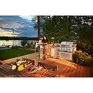 Napoleon BIG32RBNSS Built-in 700 Series BBQ Natural Gas Grill Head 32 Inches, Stainless Steel