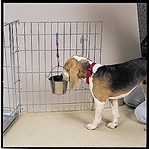 Pro Select Stainless Steel Pet Pail, 1-Quart Size – Heavy Duty Flat Sided Pail Great for Providing Water in Pet Kennels