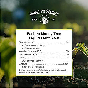 Farmer’s Secret Money Tree Liquid Plant Food Fertilizer (8oz) - Super Concentrated - Strengthen Roots and Encourage Growth in All Varieties of Money Trees