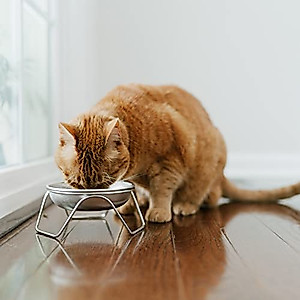 Raised Cat Bowl Stand for Food & Water by Americat – Made in USA – Stainless Steel, Spill-Proof Elevated Feeder, Dishwasher Safe, Human Grade, Whisker Friendly (Bowl + Stand)