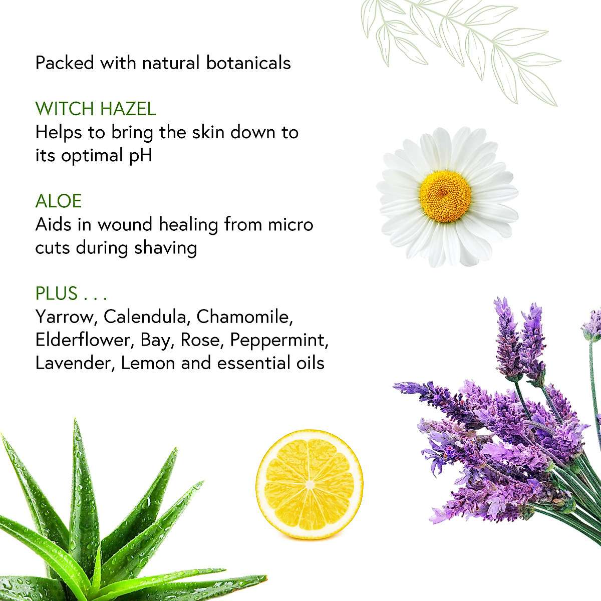 Honeybee Gardens Soothe & Refresh Herbal Aftershave with Aloe & Witch Hazel for Men, Key Lime, A Refreshing Burst of Lime Essential Oil, Gluten-Free, Vegan, Cruelty-Free, 4 Fl Oz